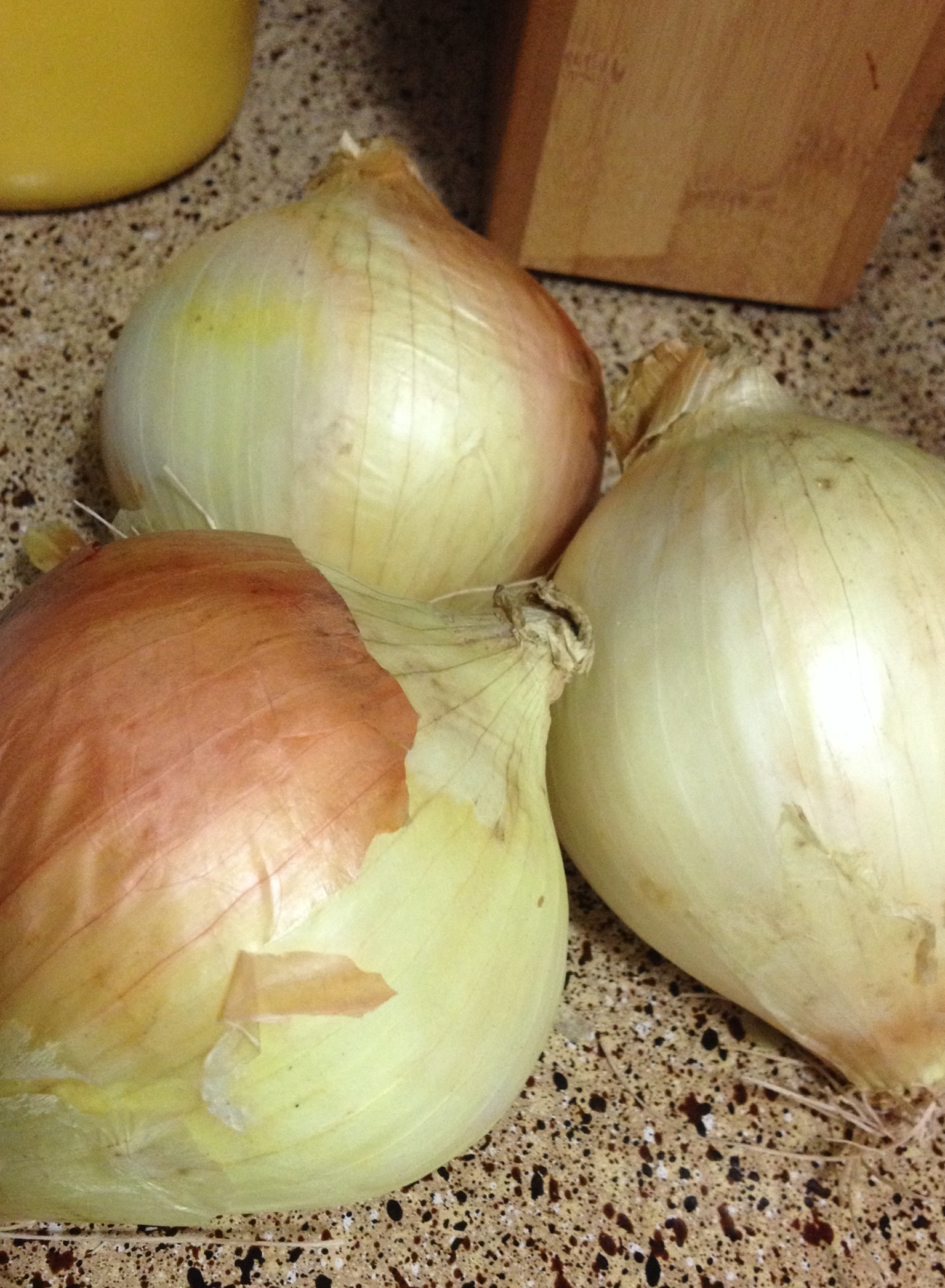 The Magic of Onions | M. Suzanne Terry