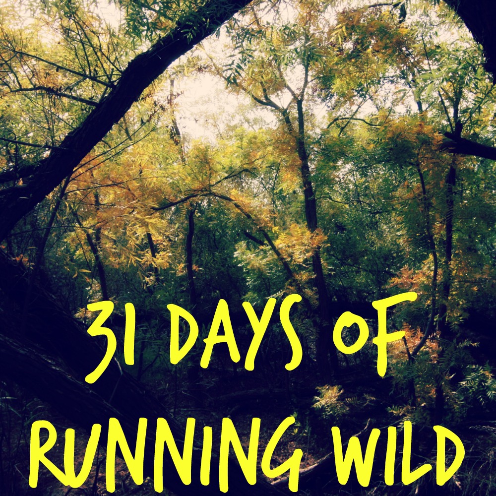 31 Days of Running Wild – a #write31days Project | M. Suzanne Terry
